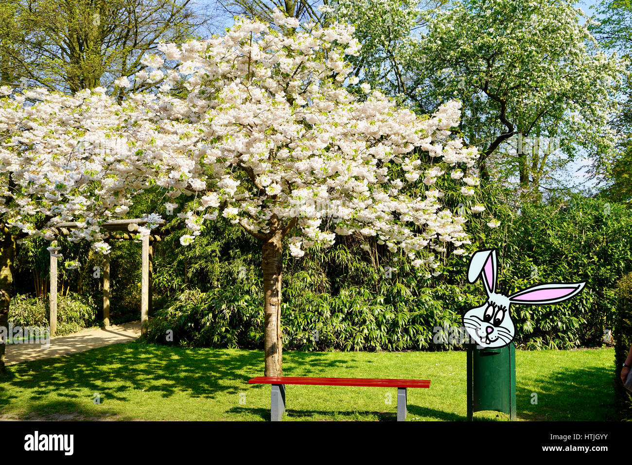 Rabbit bin hi-res stock photography and images - Alamy