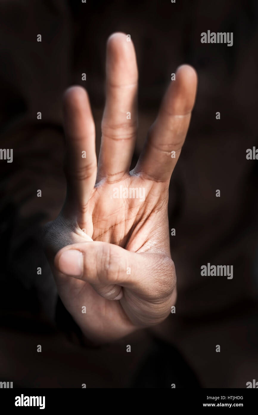 American Sign Language (ASL) is the predominant sign language of Deaf ...