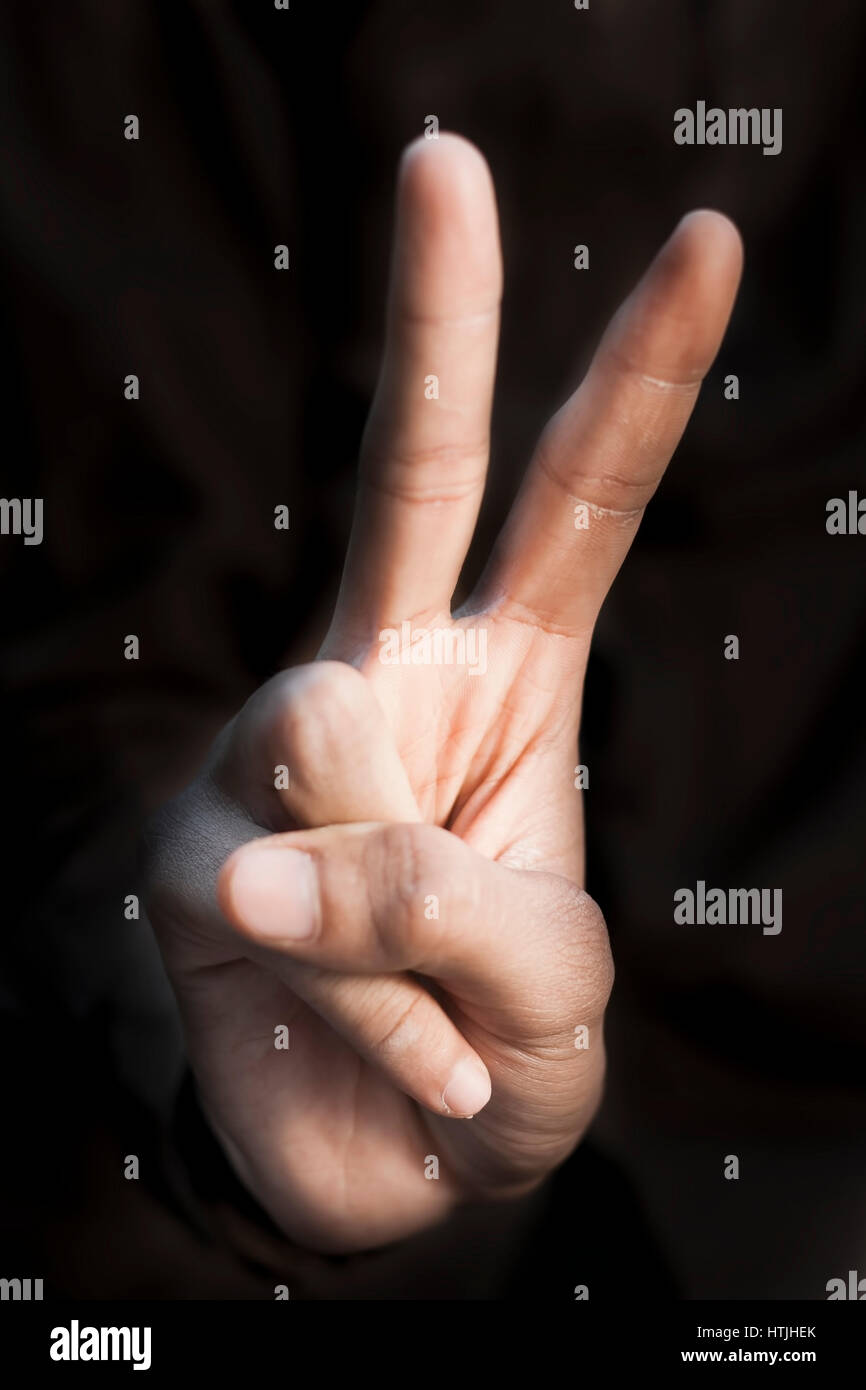 American Sign Language (ASL) is the predominant sign language of Deaf ...