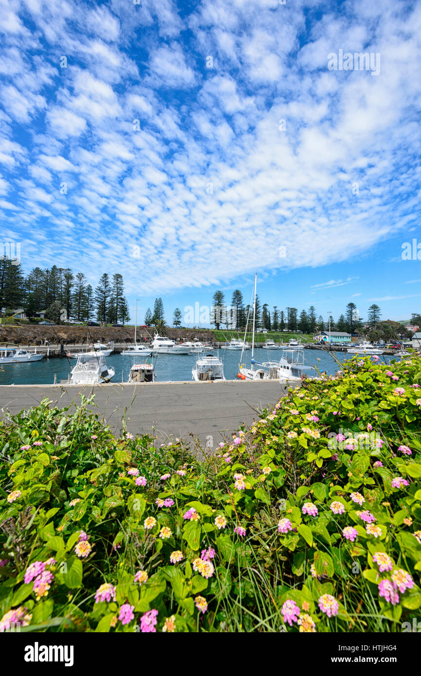 Harbour of the scenic small coastal town of Kiama, a touristic spot on ...