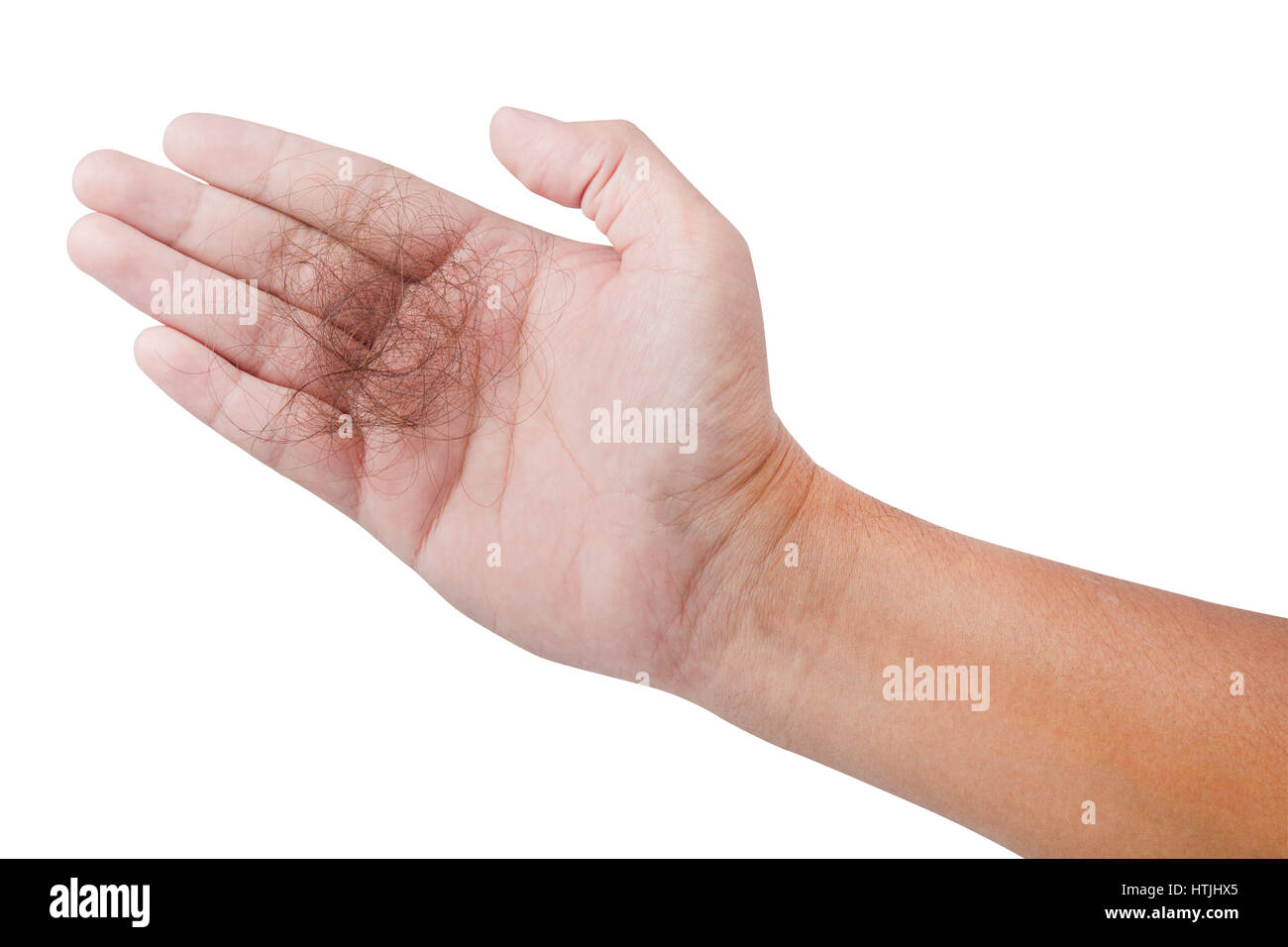 hair loss problem on hand isolated on white background with clipping ...