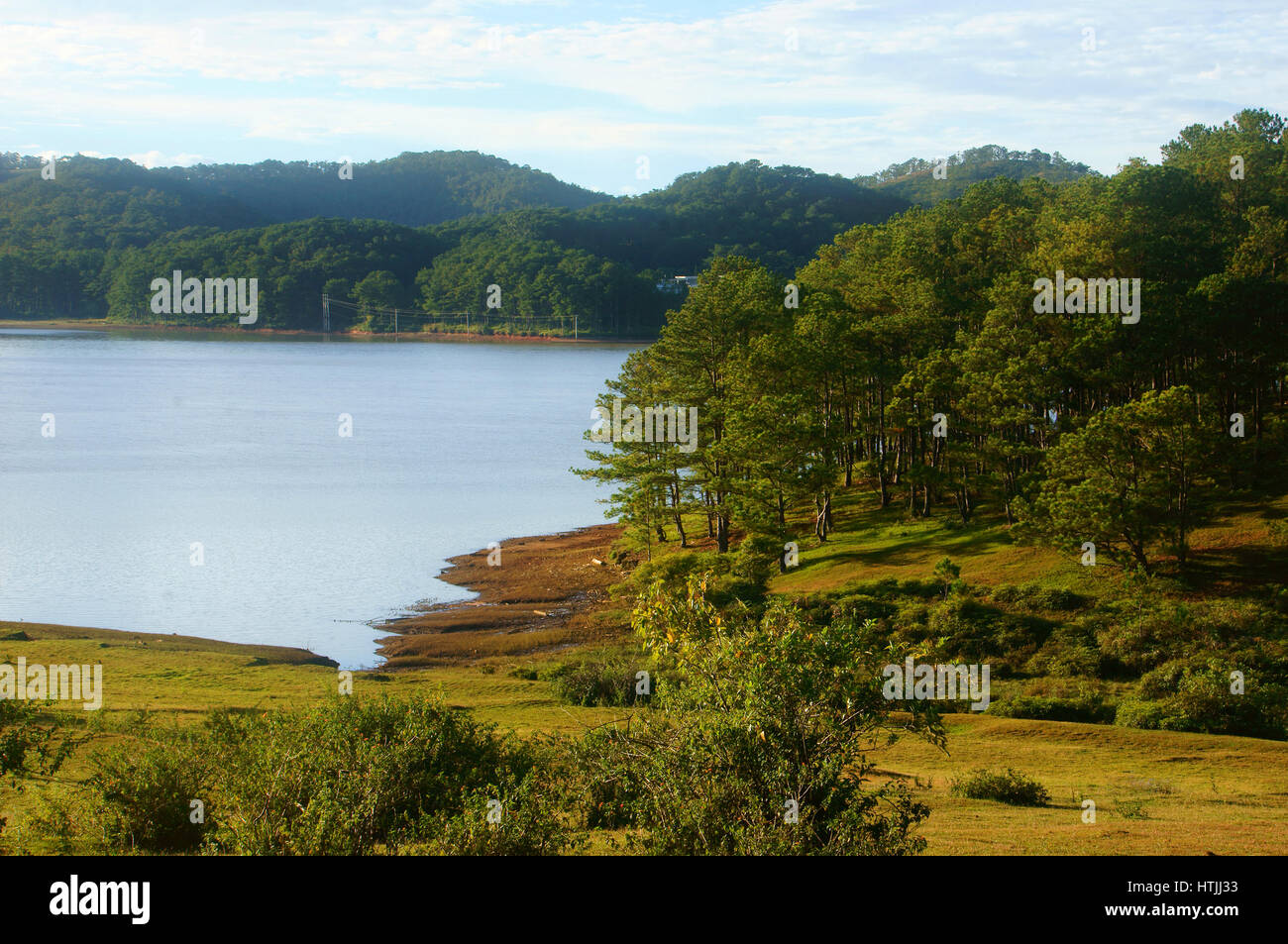 Dalat landscape, nature reserve, grass field among pine jungle on day ...