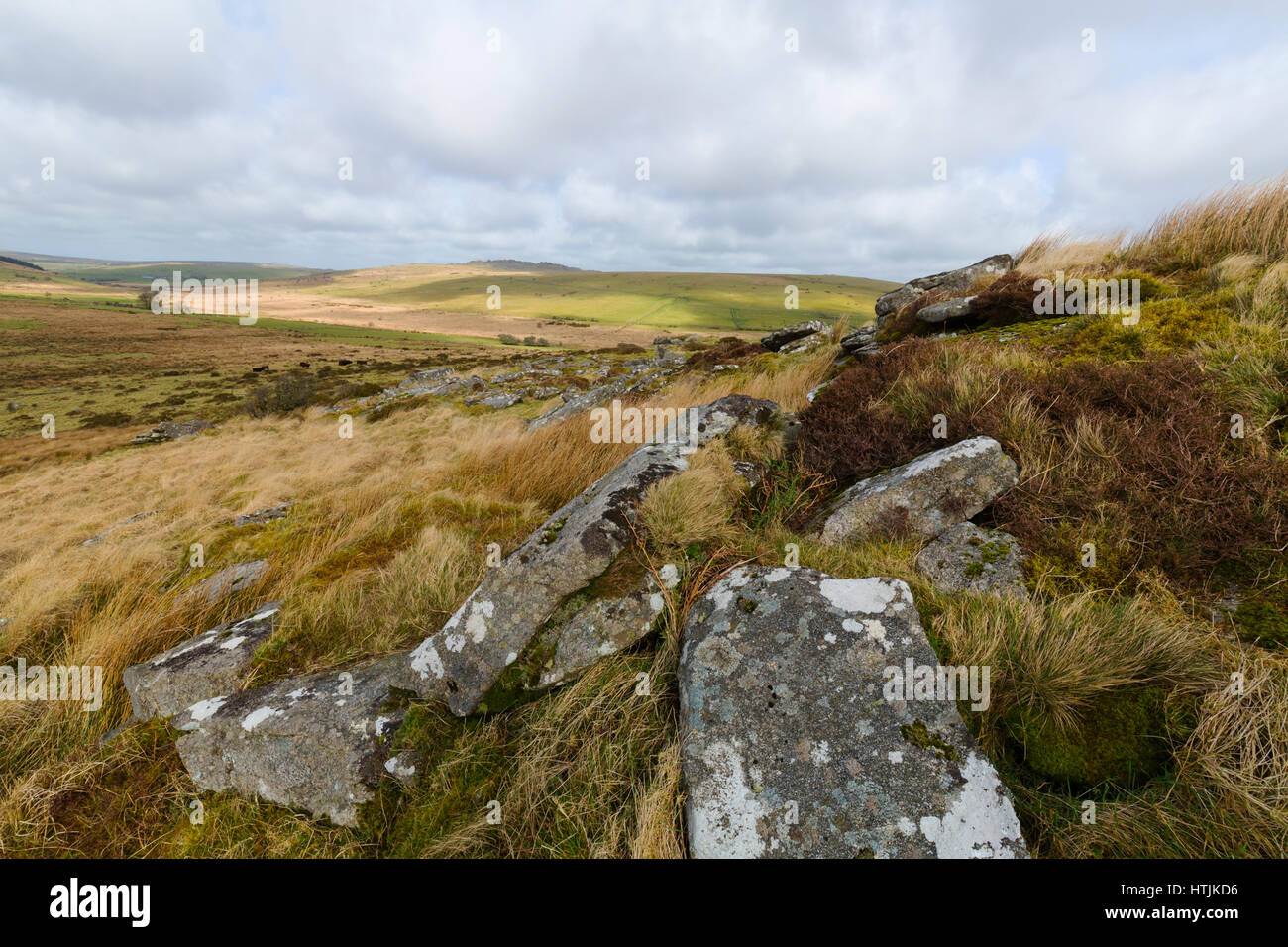 Cornwall moors hi-res stock photography and images - Alamy