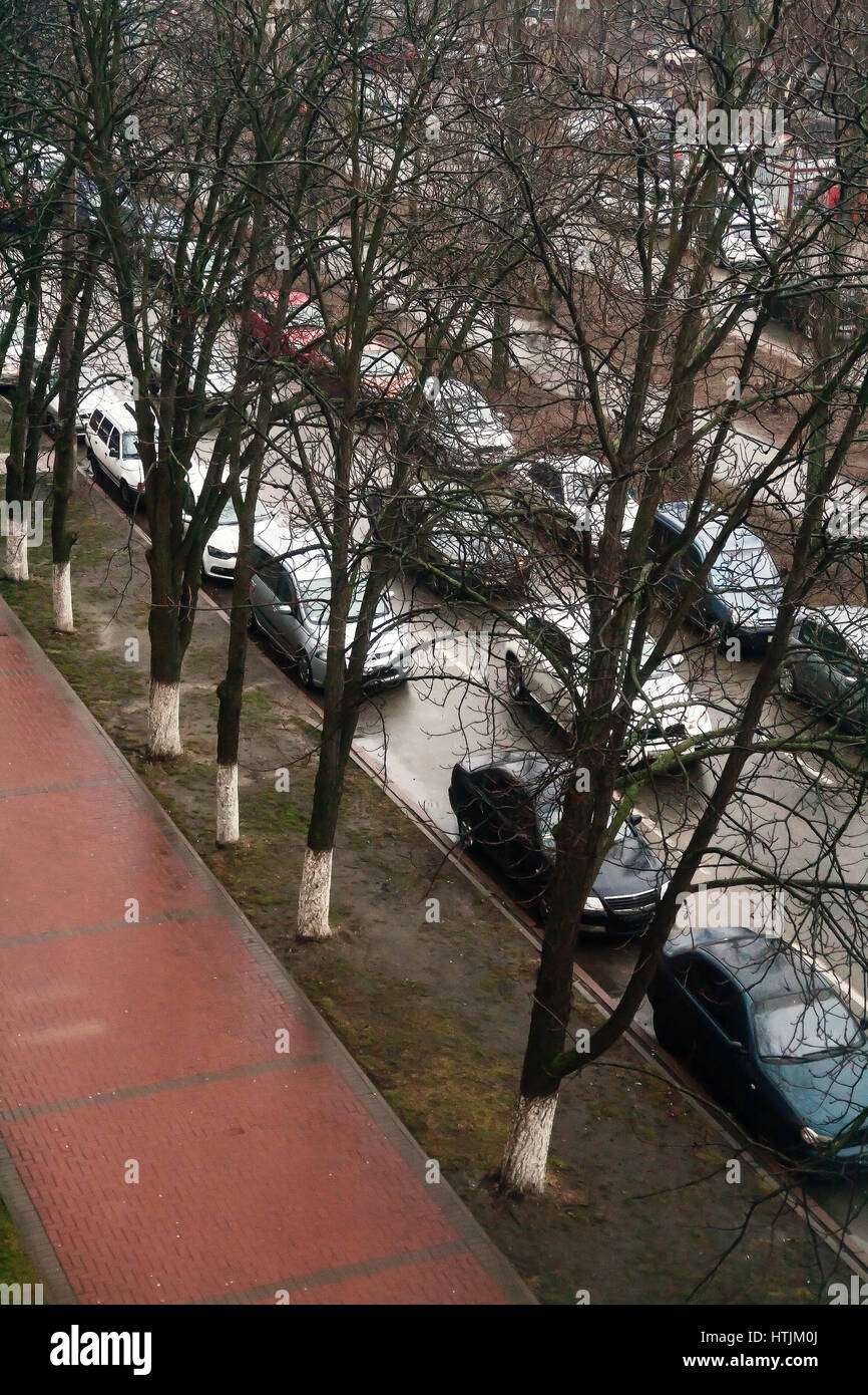 Top view of a street with trees and parked cars Stock Photo - Alamy