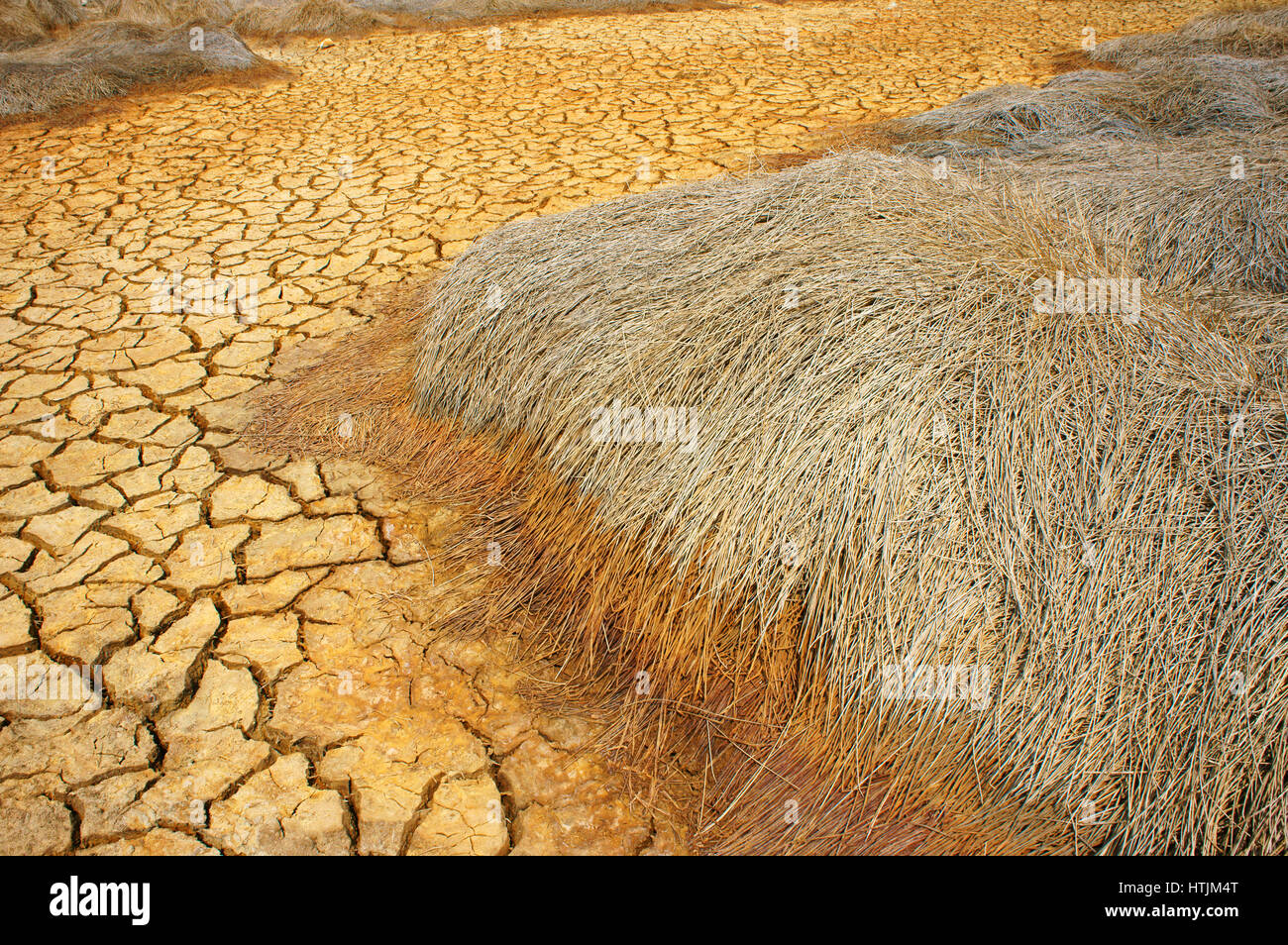 Hay on drought land, amazing arid, cracked ground, climate change made ...