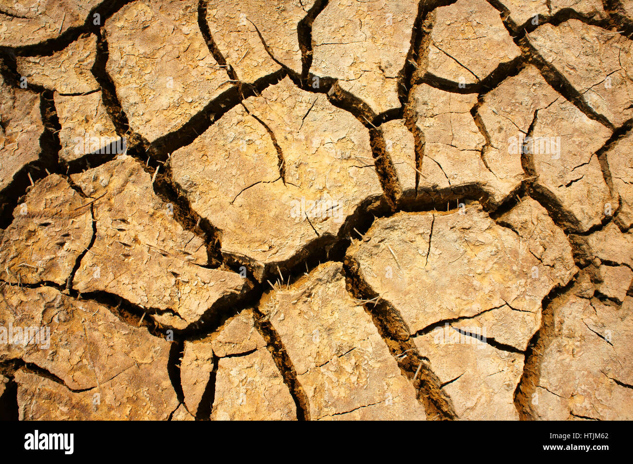 Hay on drought land, amazing arid, cracked ground, climate change made ...