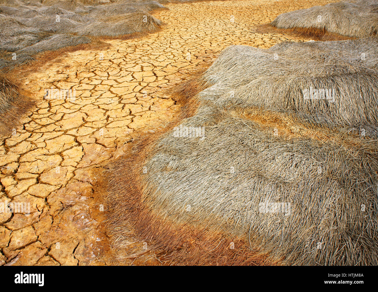 Hay on drought land, amazing arid, cracked ground, climate change made ...