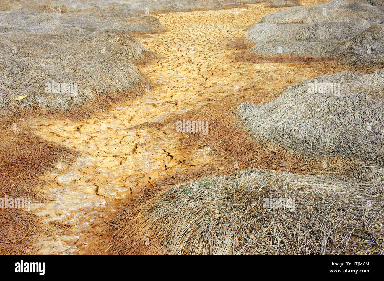 Hay on drought land, amazing arid, cracked ground, climate change made ...
