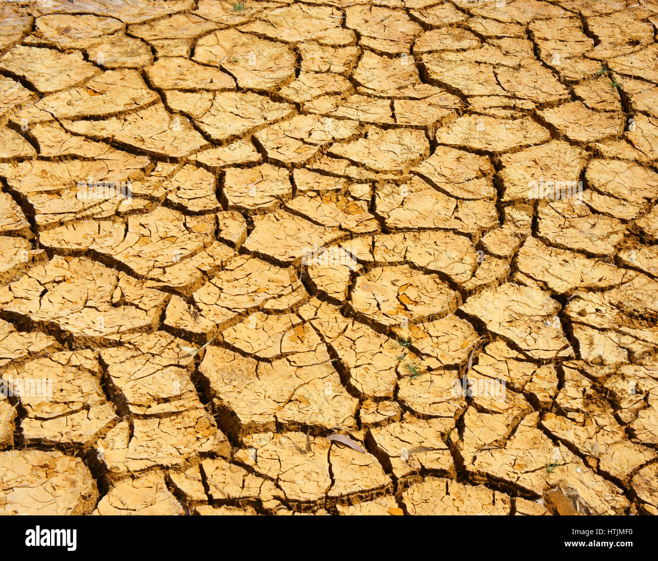 Hay on drought land, amazing arid, cracked ground, climate change made ...