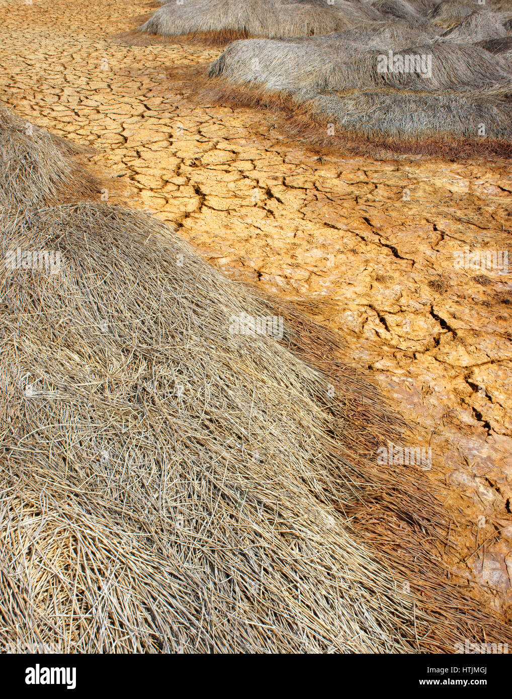 Hay on drought land, amazing arid, cracked ground, climate change made ...