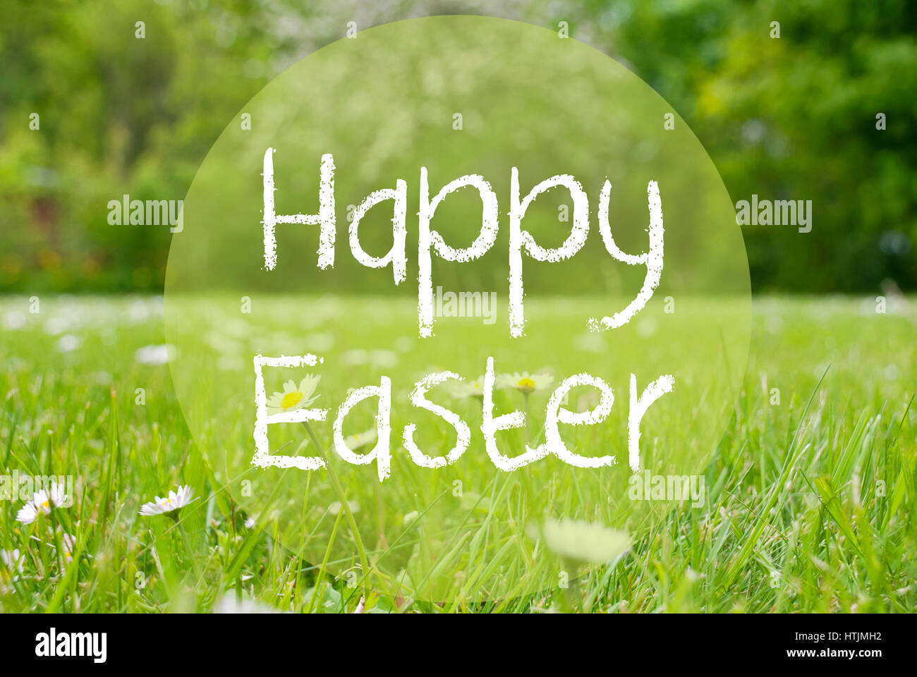 English Text Happy Easter. Spring Or Summer Gras Meadow With Daisy ...