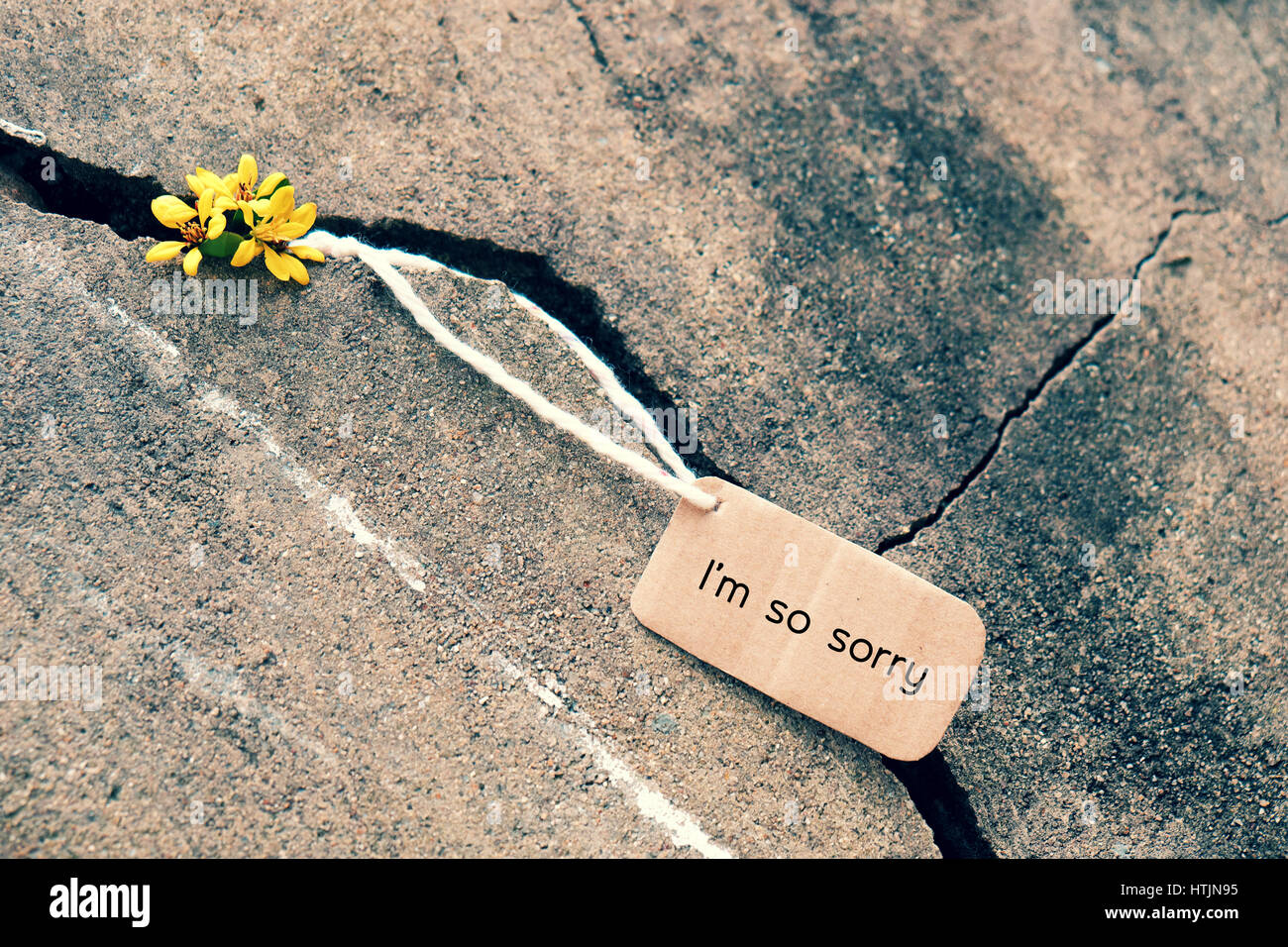 Sorry background with yellow tiny flower on old cement wall, I'm so ...