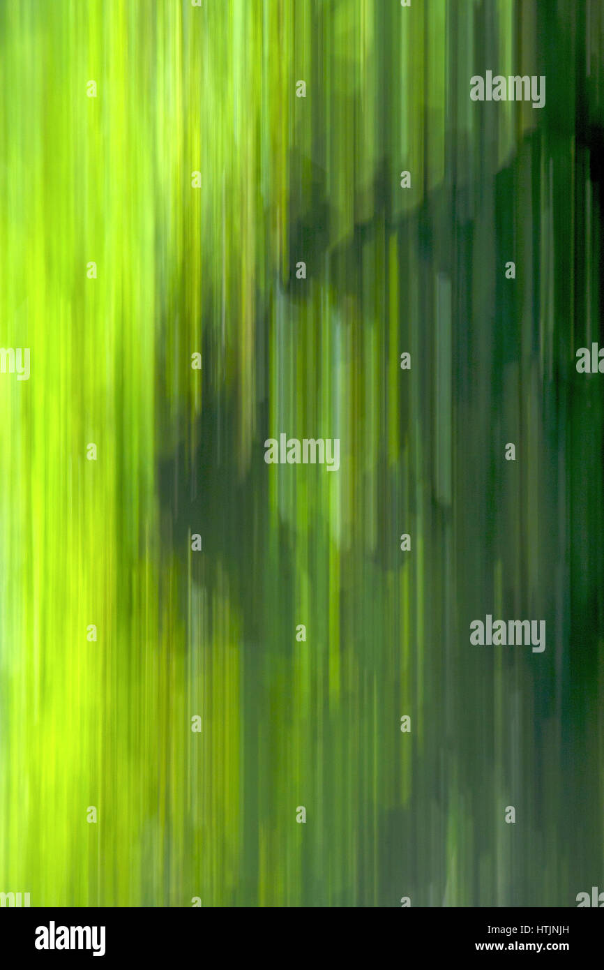 green nature background fast line Stock Photo - Alamy