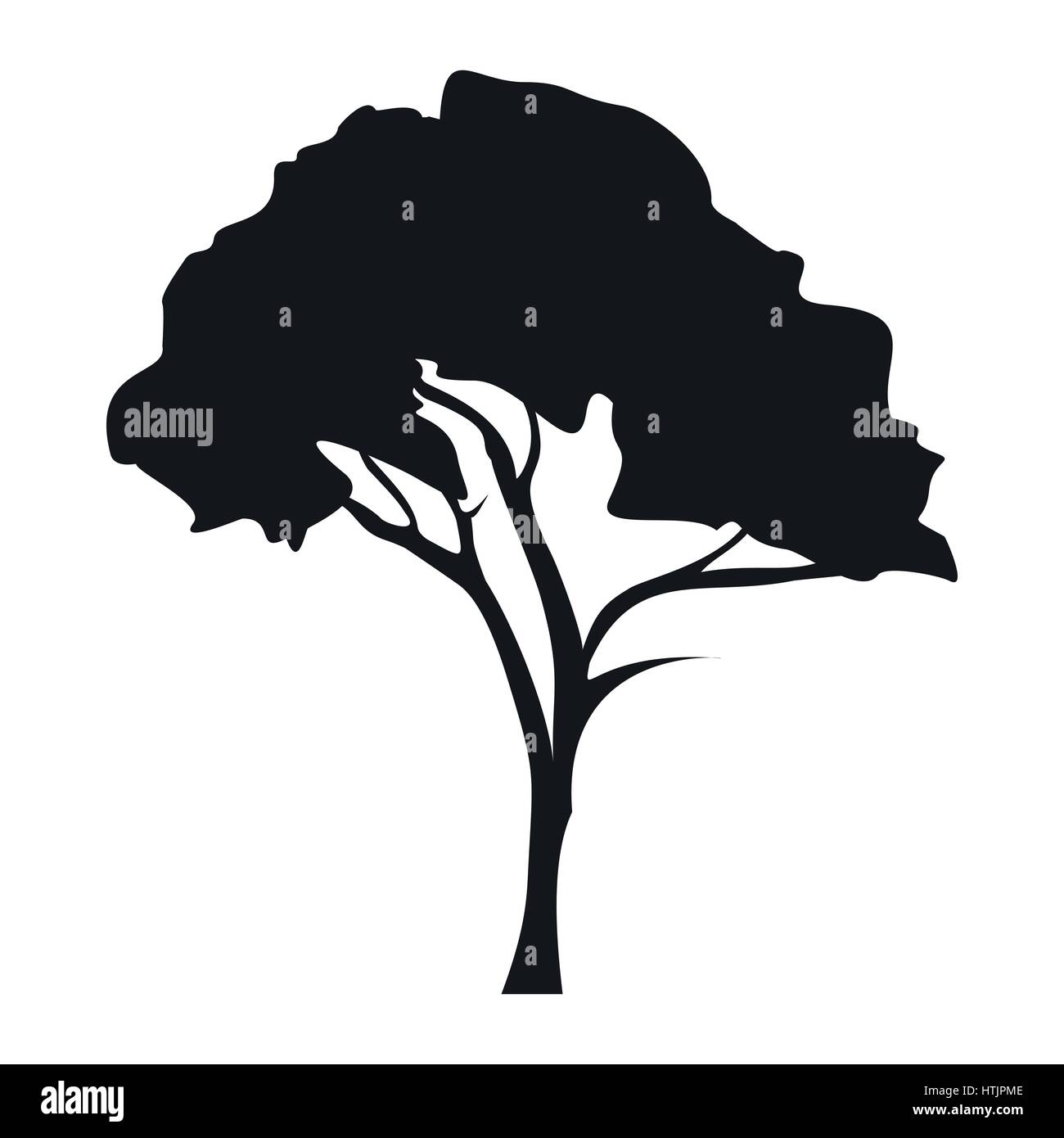 Trumpet tree pantanal Stock Vector Images - Alamy