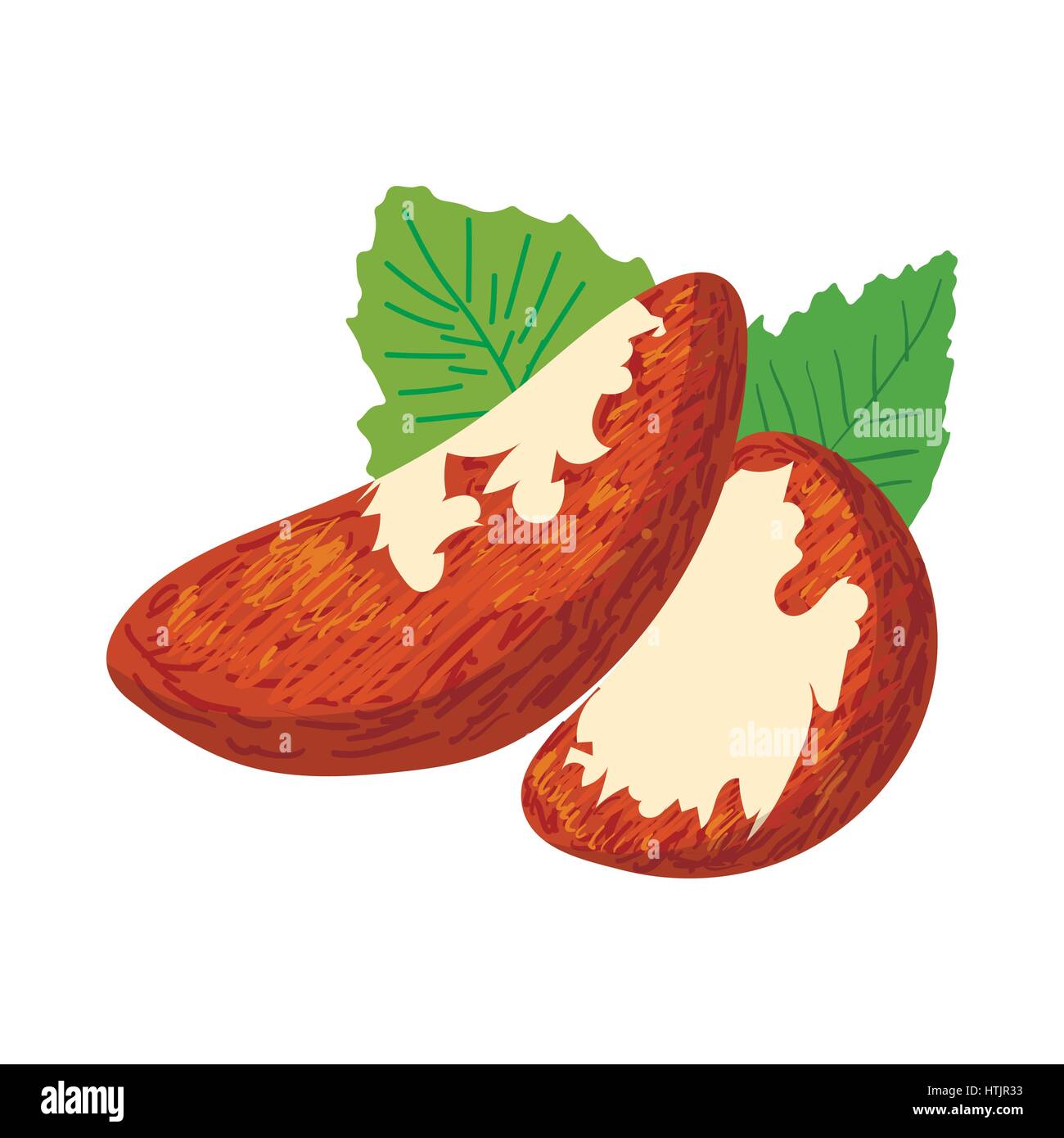 Brazil nuts icon, cartoon style Stock Vector Image & Art - Alamy
