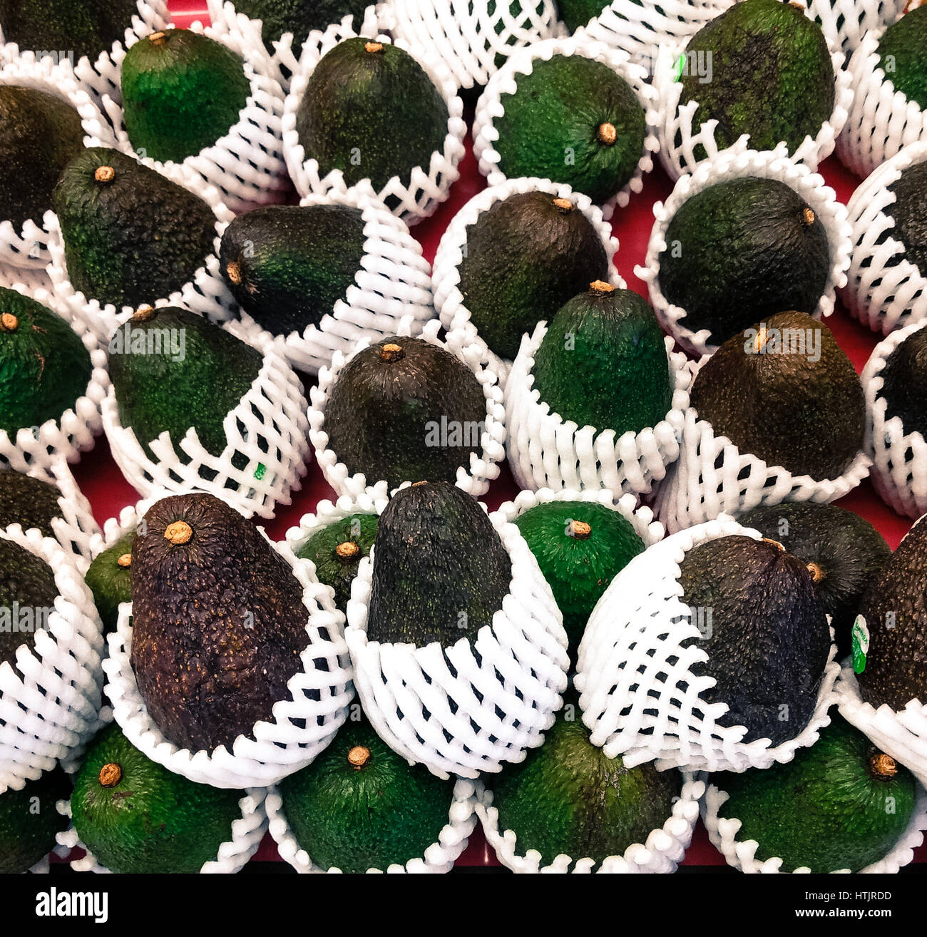 Avocado in foam protection bag in daily food department in the fresh ...