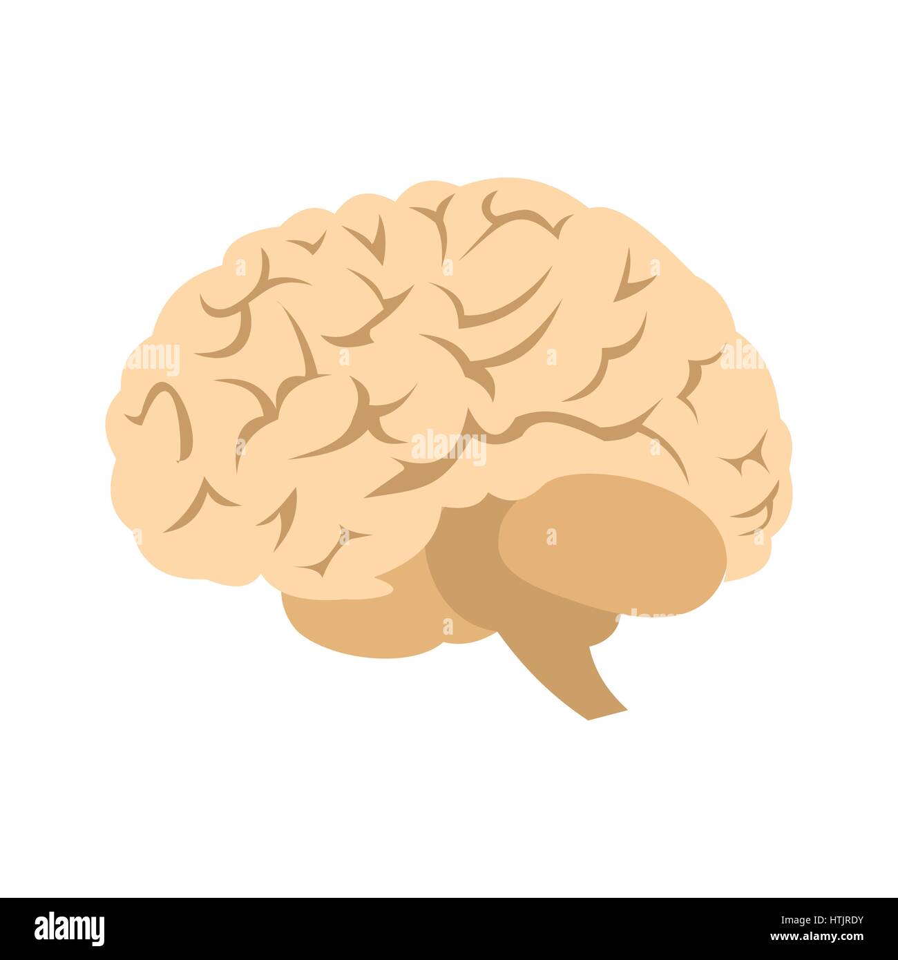 Frontal lobe and brain Stock Vector Images - Alamy