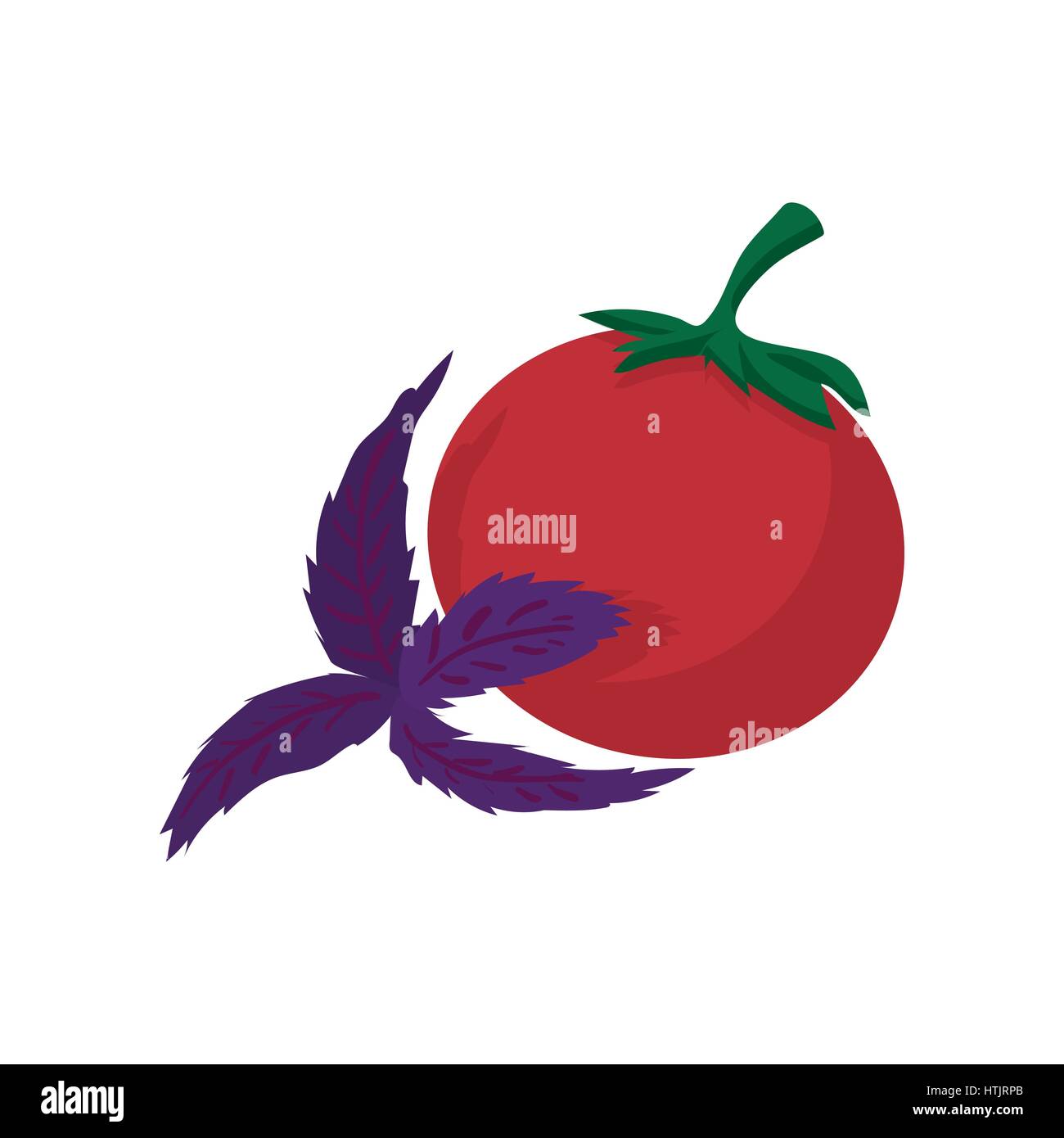 Red tomato basil leaf Stock Vector Images - Alamy