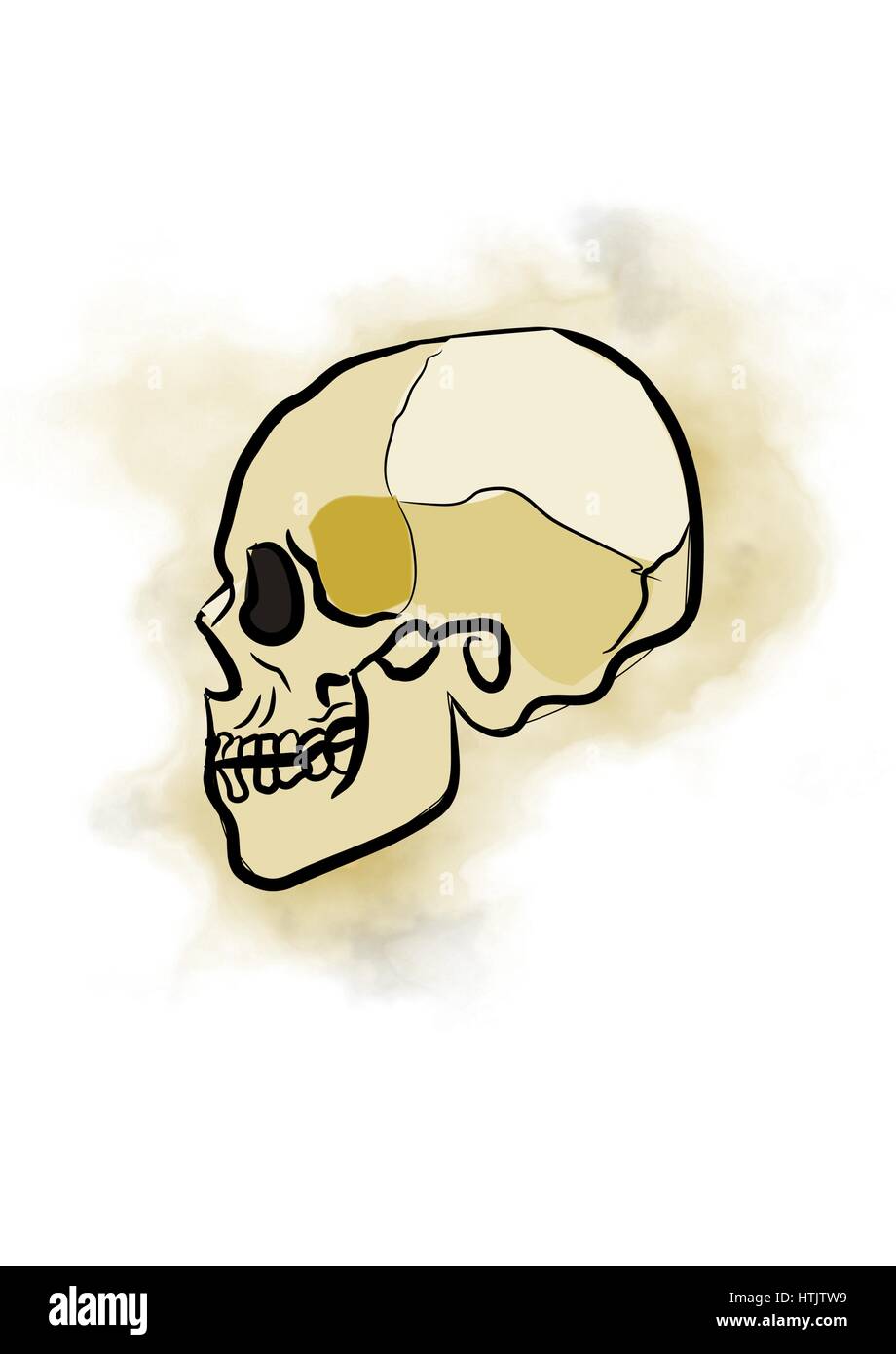 Skull cook Stock Vector Images - Alamy