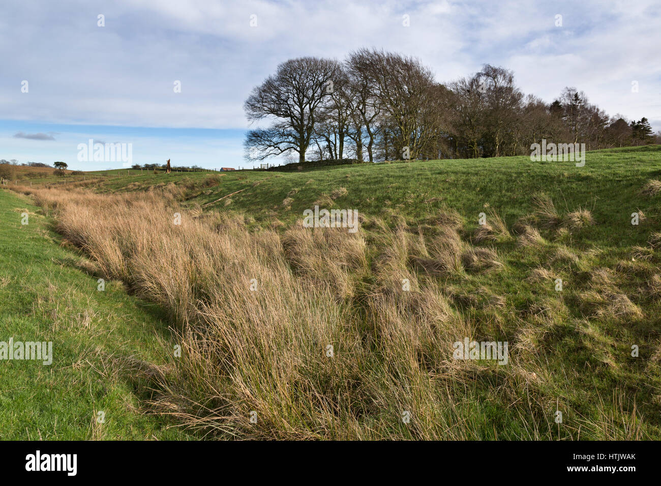Hadrian's Wall: the north ditch a little west of Birdoswald Roman fort ...