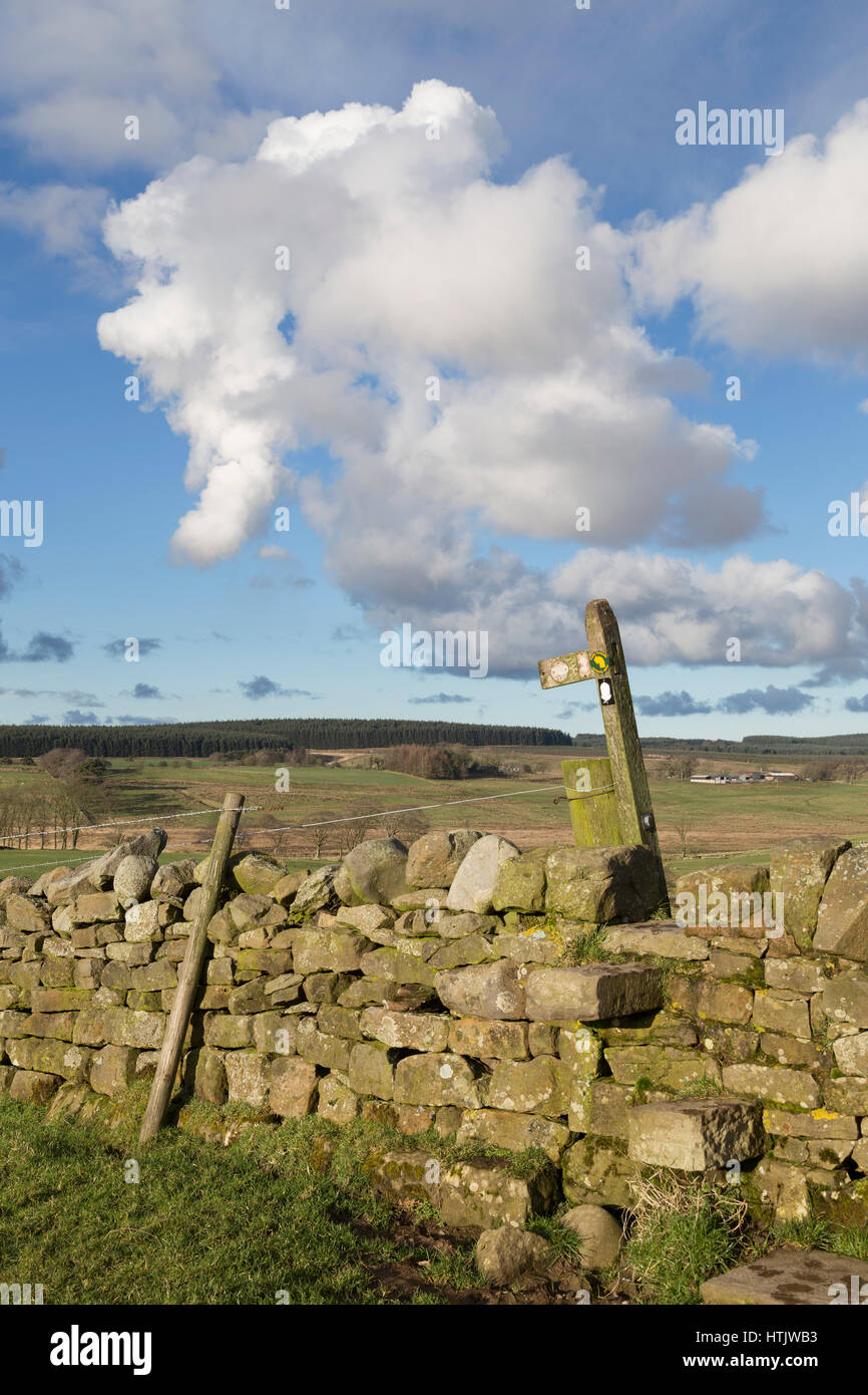 Hadrian's Wall Path a little west of Birdoswald Roman fort, by the ...