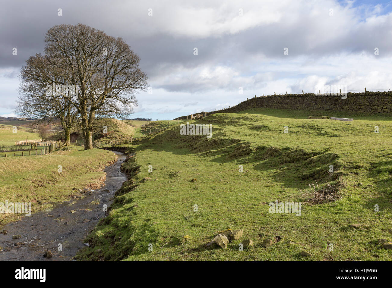 Hadrian's Wall Path, between Thirlwall and Gilsland, close to the ...