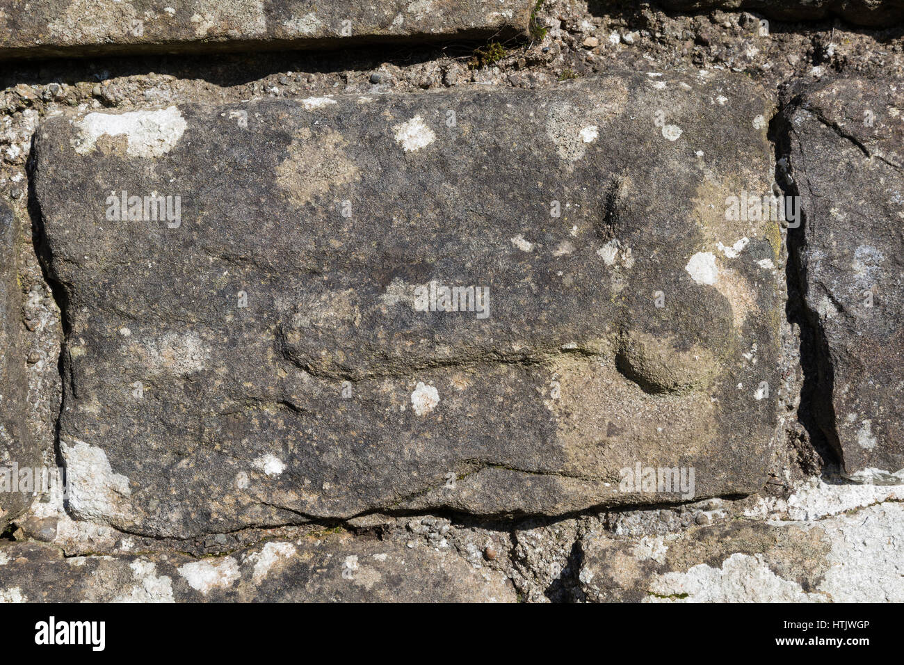 A phallic symbol cut into one of the stones of Hadrian's Wall, near ...