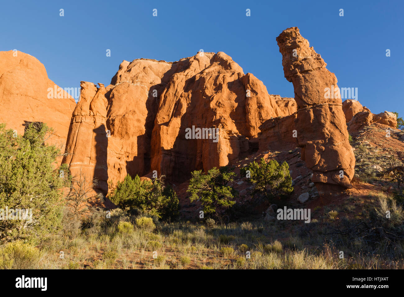 Sedimentary pipe rock formation, Kodachrome Basin State Park, UT, USA ...
