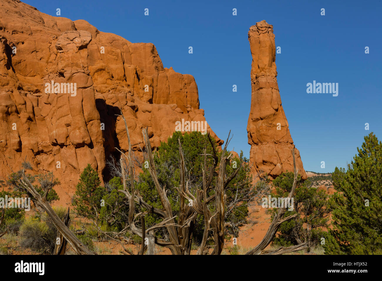 Sedimentary pipe rock formation, Kodachrome Basin State Park, UT, USA ...