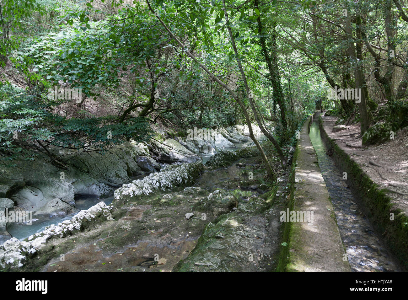 The valley of the mountain river Patara Makara in the Caucasus Stock ...