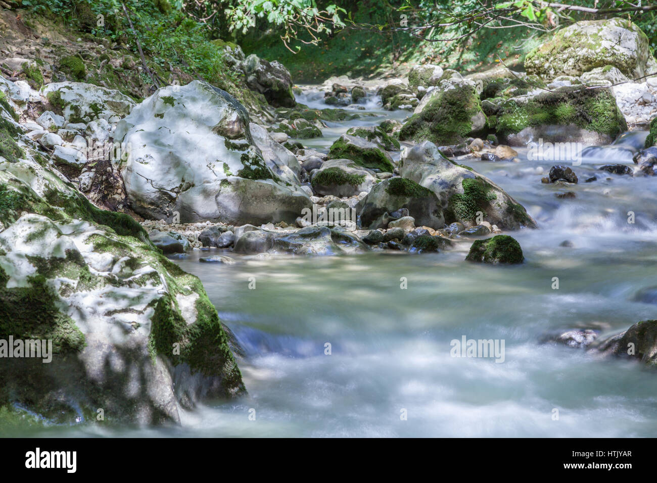 Makara hi-res stock photography and images - Alamy