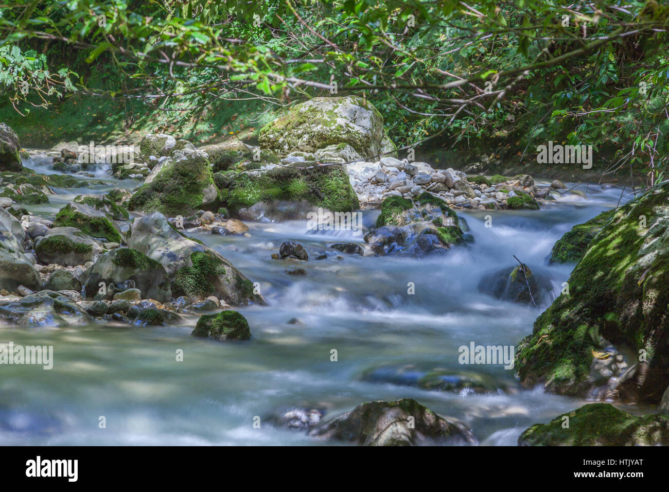 Makara hi-res stock photography and images - Alamy