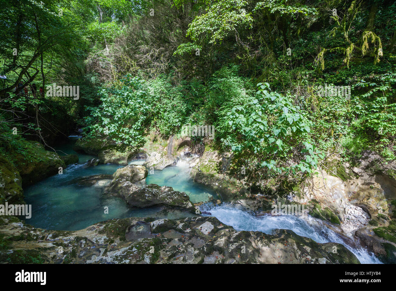 Makara hi-res stock photography and images - Alamy