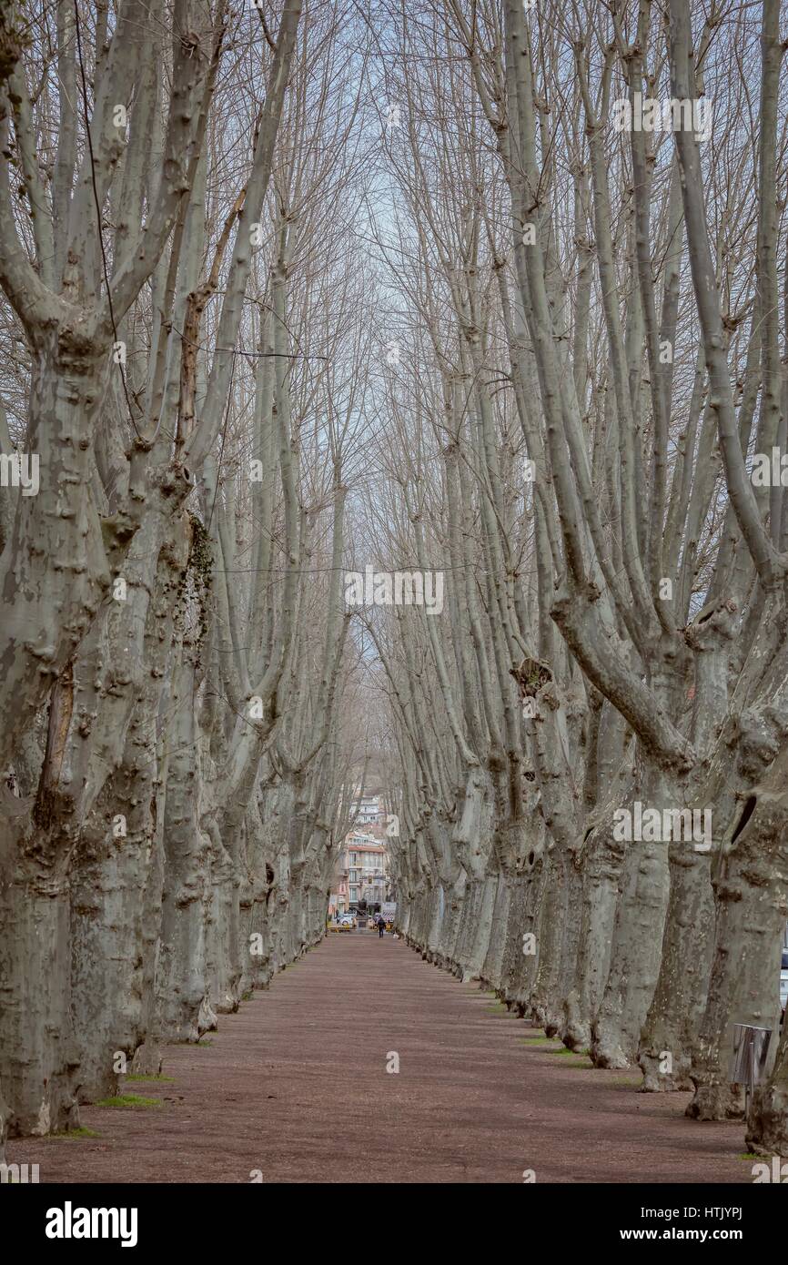 Long alley in the small town Olot in Catalonia of Spain Stock Photo - Alamy