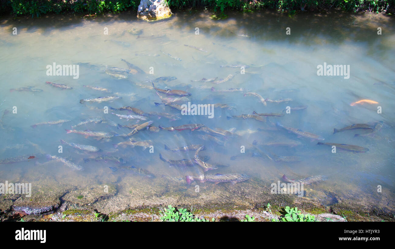 Stream production hi-res stock photography and images - Alamy