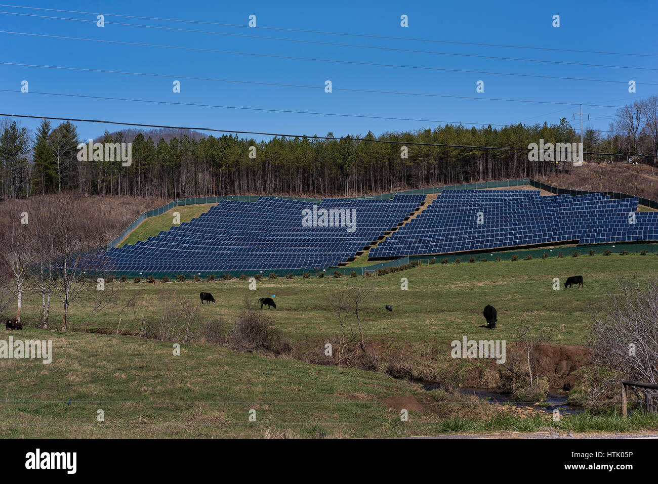 Solar Panels at a solar farm Stock Photo - Alamy