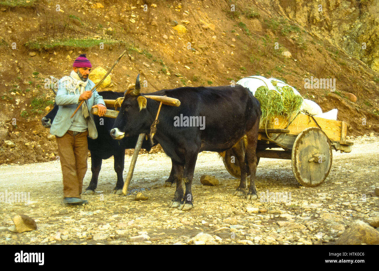 man with old bullock cart in kocabey, eastern turkey Stock Photo - Alamy