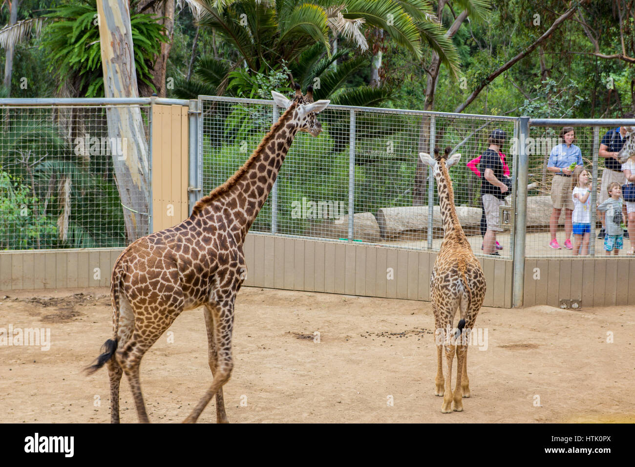 San Diego Zoo, one of the the most amazing places to visit in ...