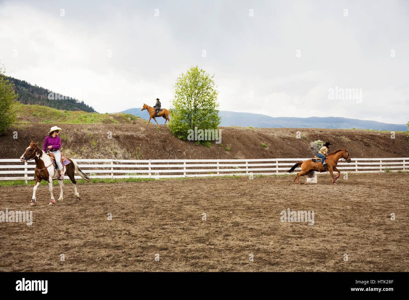 Cowgirls riding horses hi-res stock photography and images - Alamy