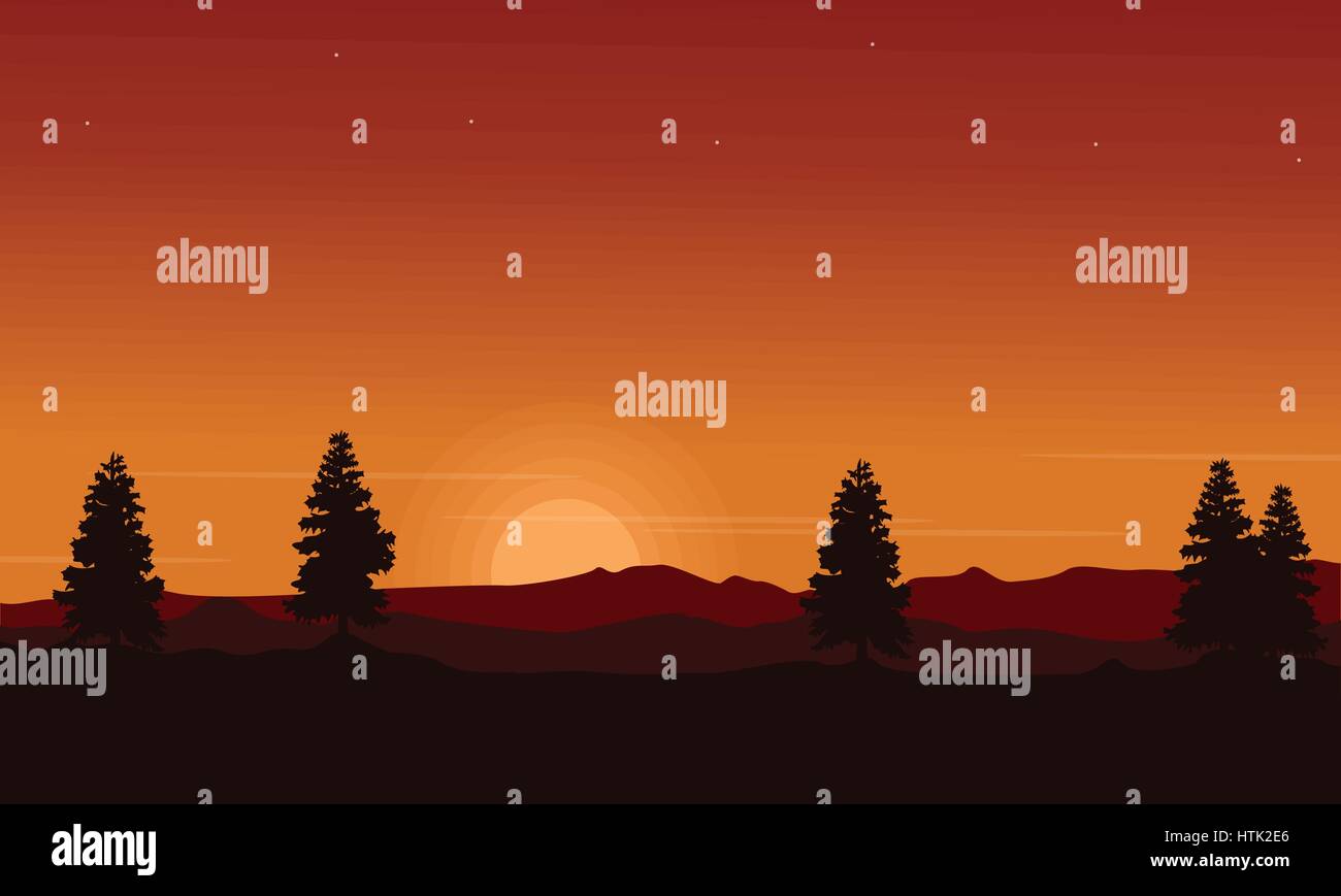 At sunset hill scenery with spruce Stock Vector Image & Art - Alamy