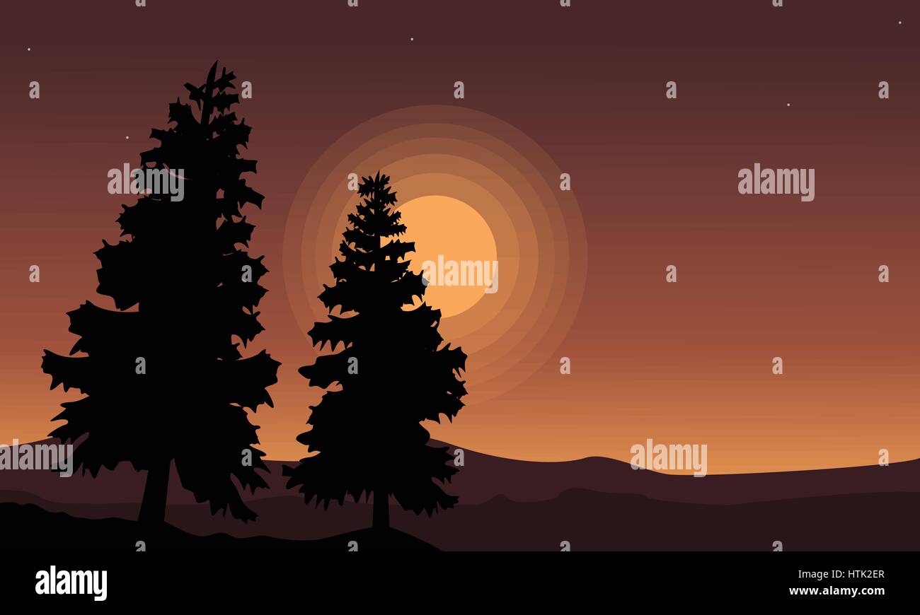 Silhouette of tree spruce scenery Stock Vector Image & Art - Alamy