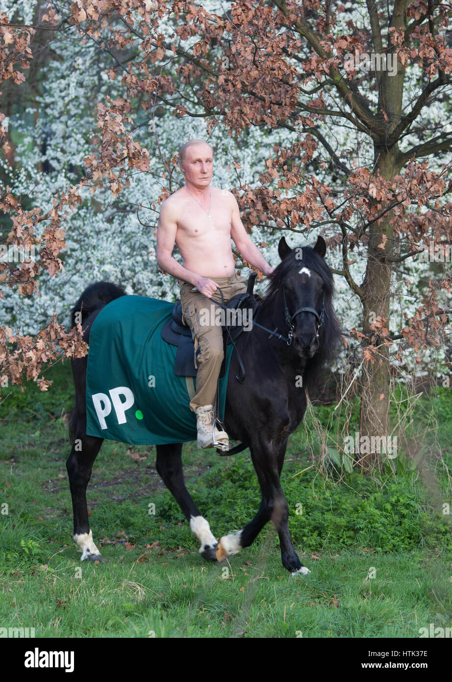 Putin Riding Things