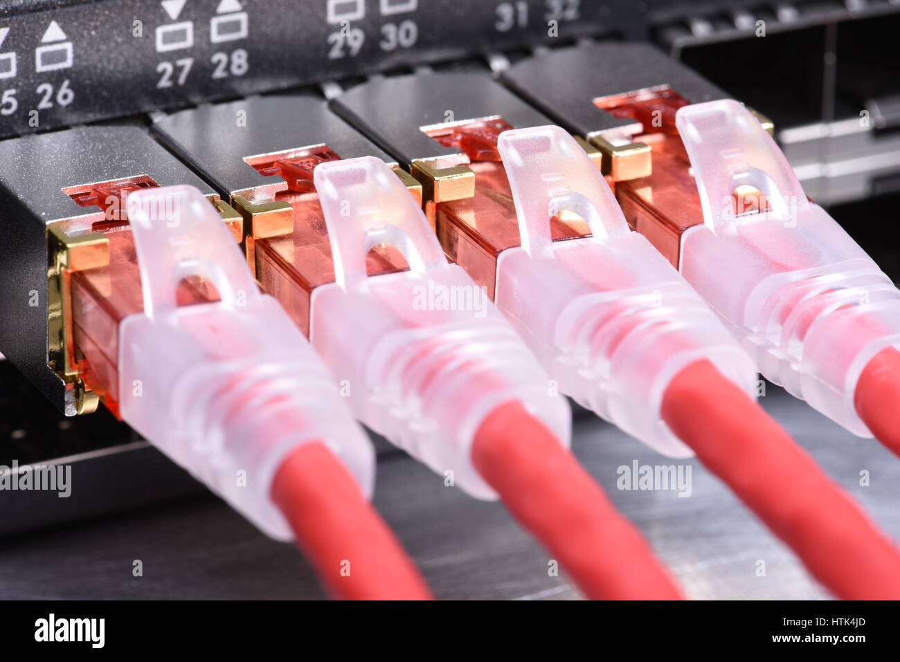 Technology devices, network switch with patch cord cables closeup Stock ...