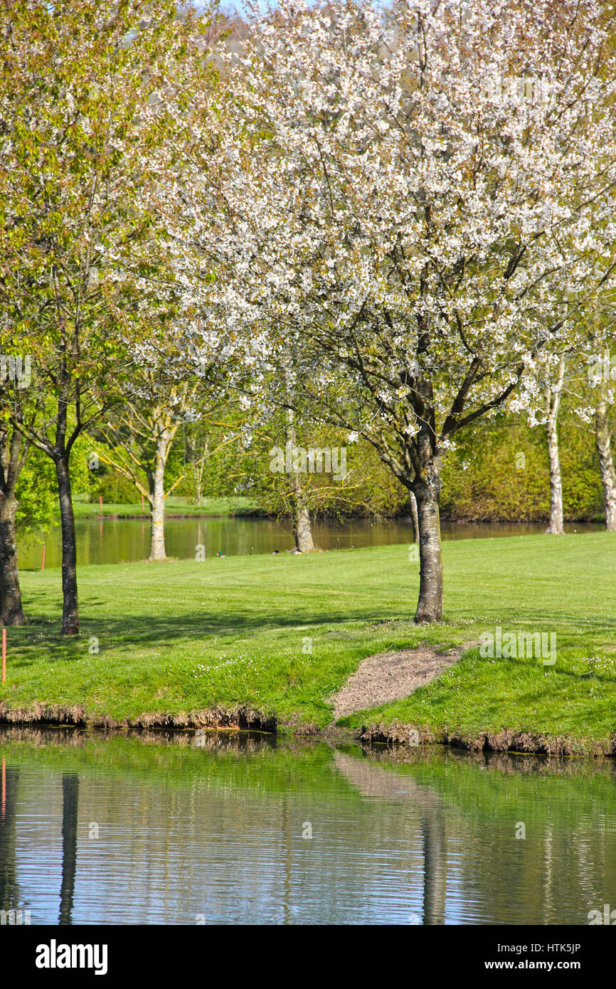 Golf in france hi-res stock photography and images - Alamy