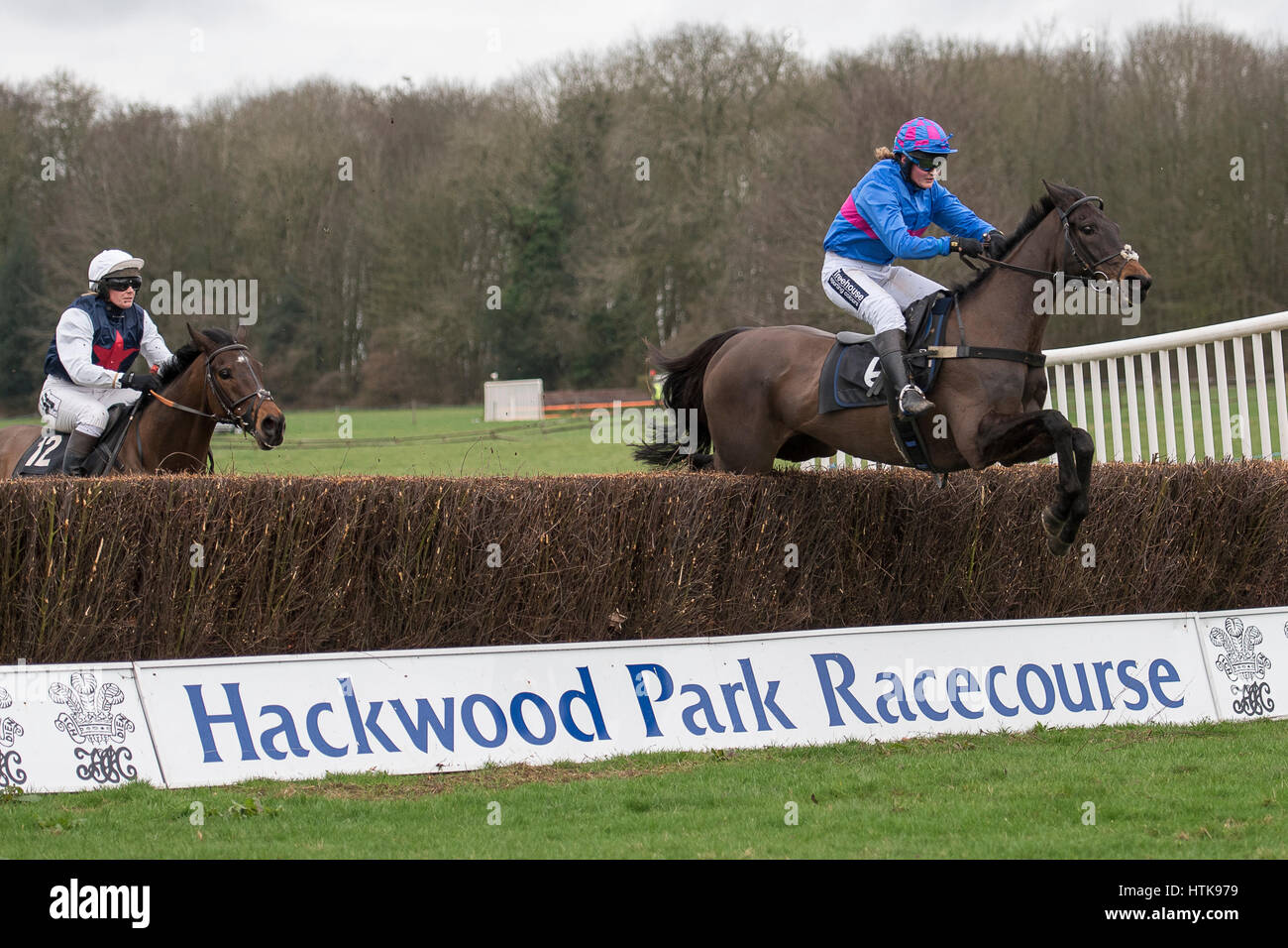 Point to Point Hackwood Park Stock Photo - Alamy