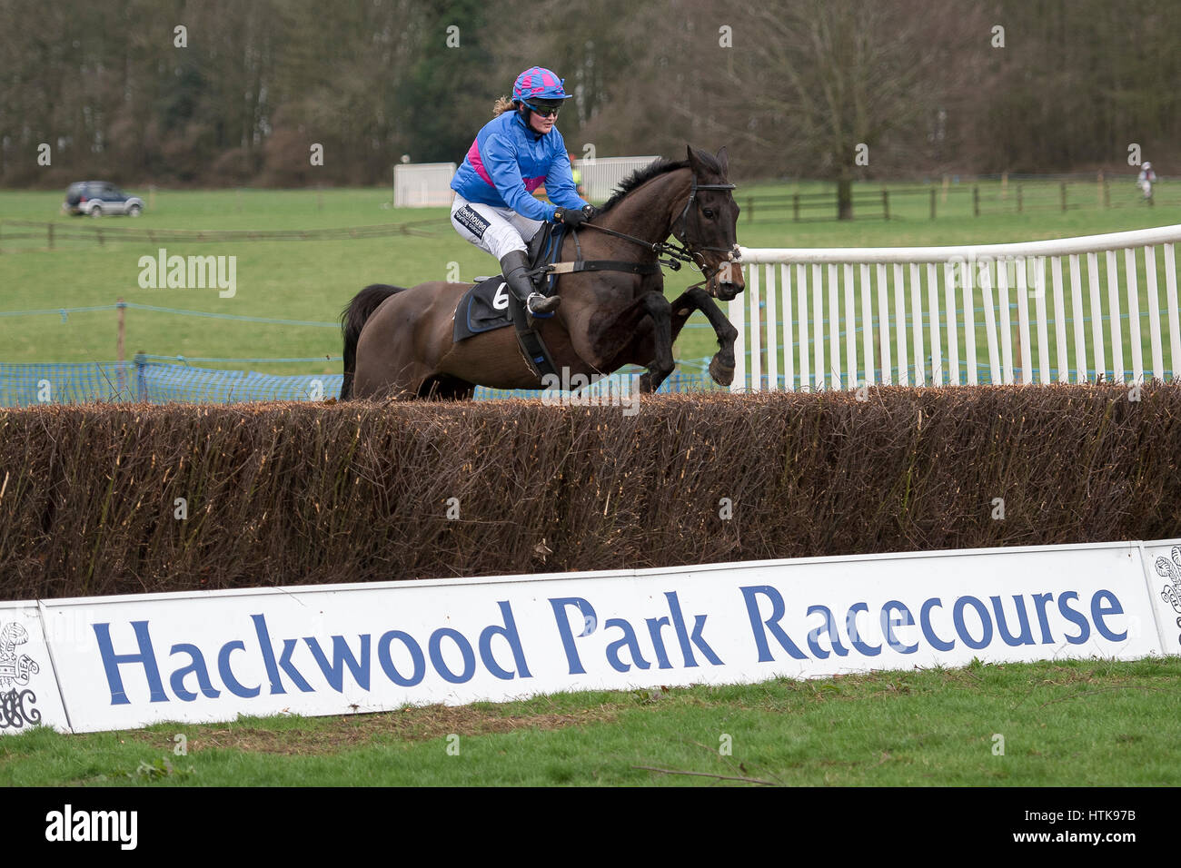 Point to Point Hackwood Park Stock Photo - Alamy
