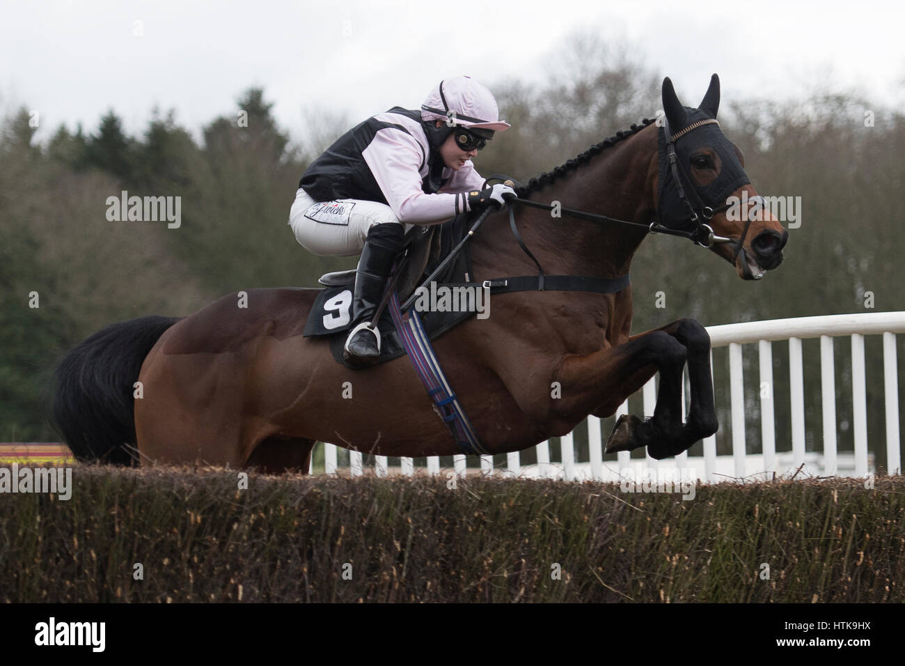 Hackwood Park Stock Photos & Hackwood Park Stock Images - Alamy