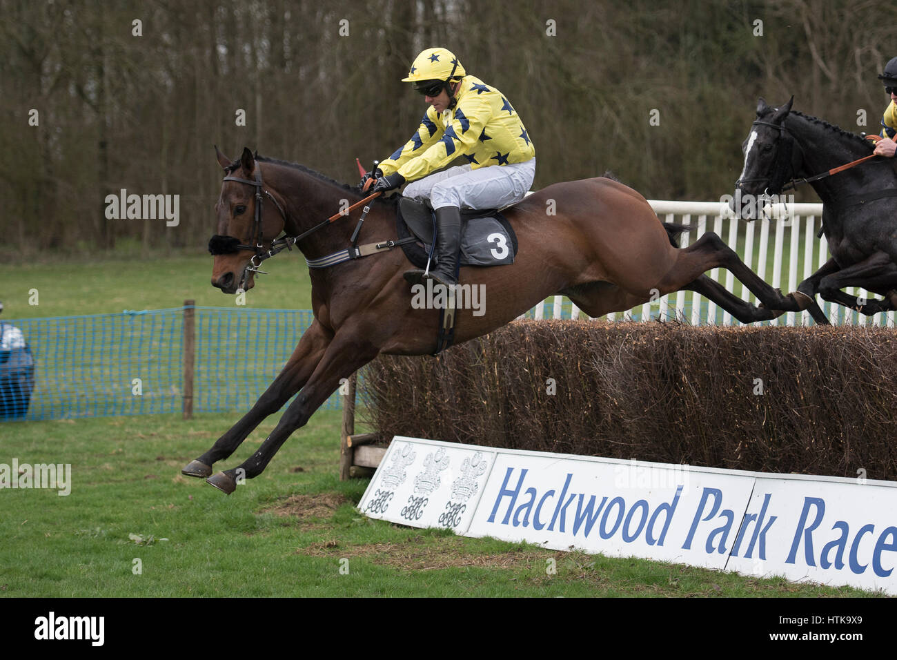 Point to Point Hackwood Park Stock Photo - Alamy