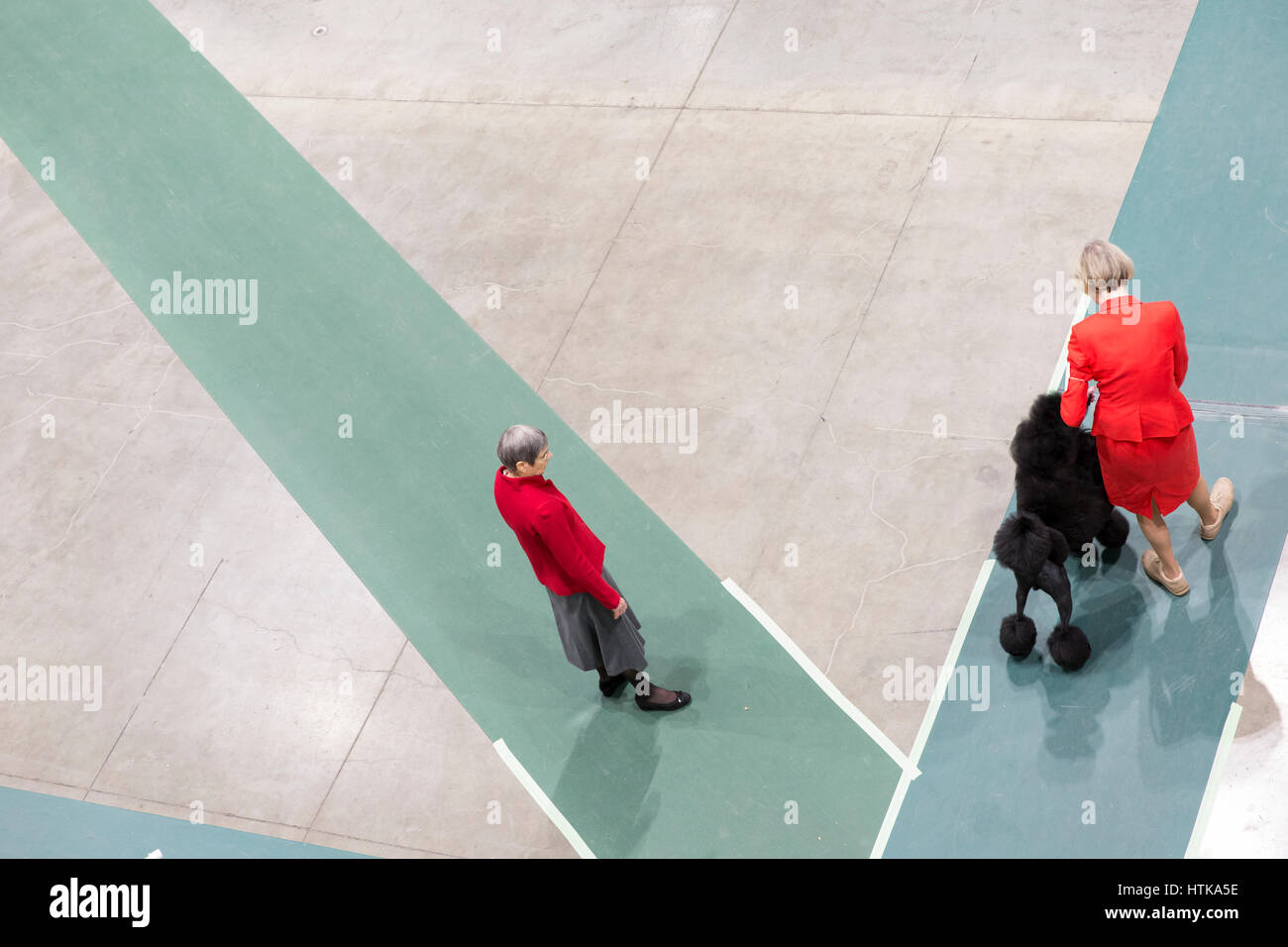 American kennel club judges hi-res stock photography and images - Alamy