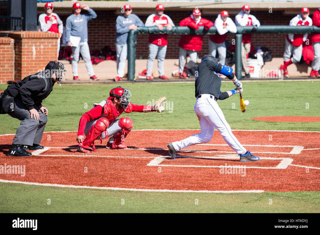 LEXINGTON, KY - MARCH 12: University of Kentucky infielder Luke Becker ...
